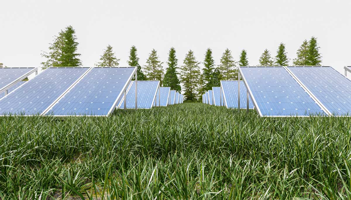 ¿Cómo funcionan los paneles solares fotovoltaicos?